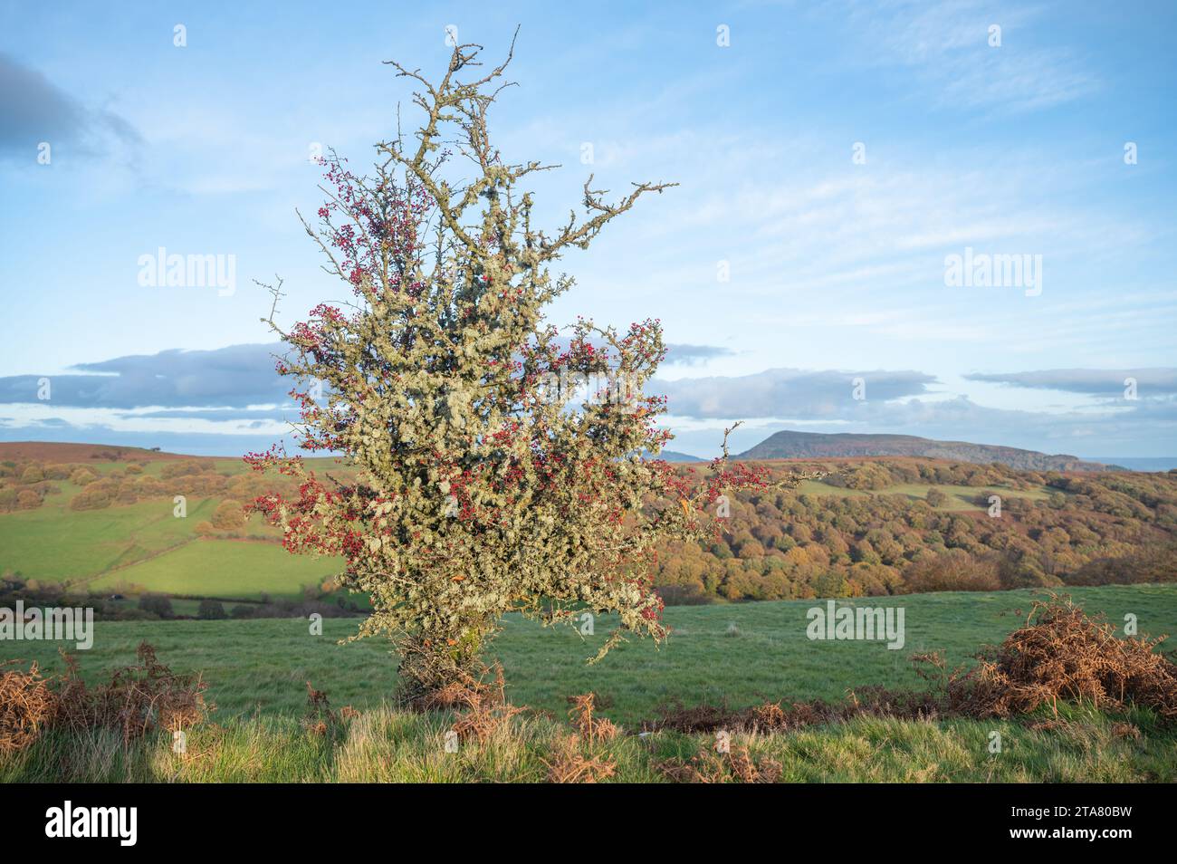 Rholben hi-res stock photography and images - Alamy
