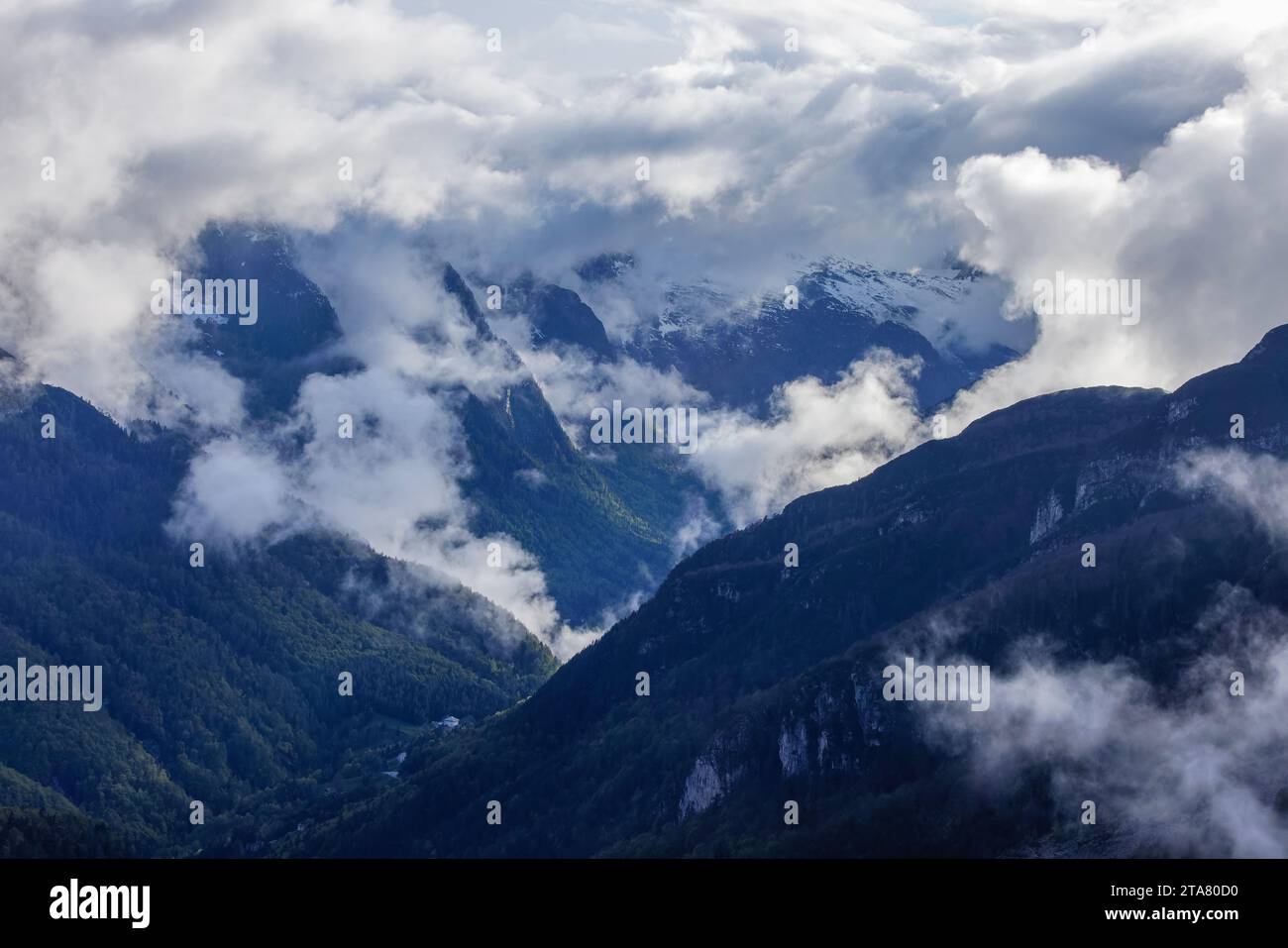Long bois hi-res stock photography and images - Alamy