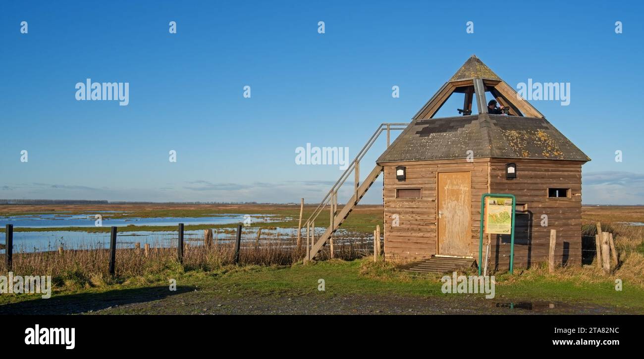 Bird hide at the nature reserve Verdronken Land van Saeftinghe, salt ...