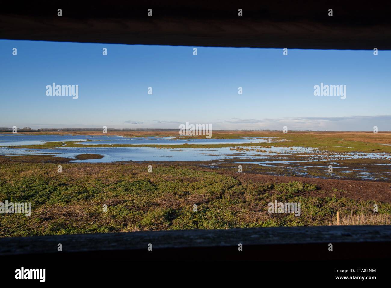 View over salt marsh of the Western Scheldt estuary at nature reserve ...