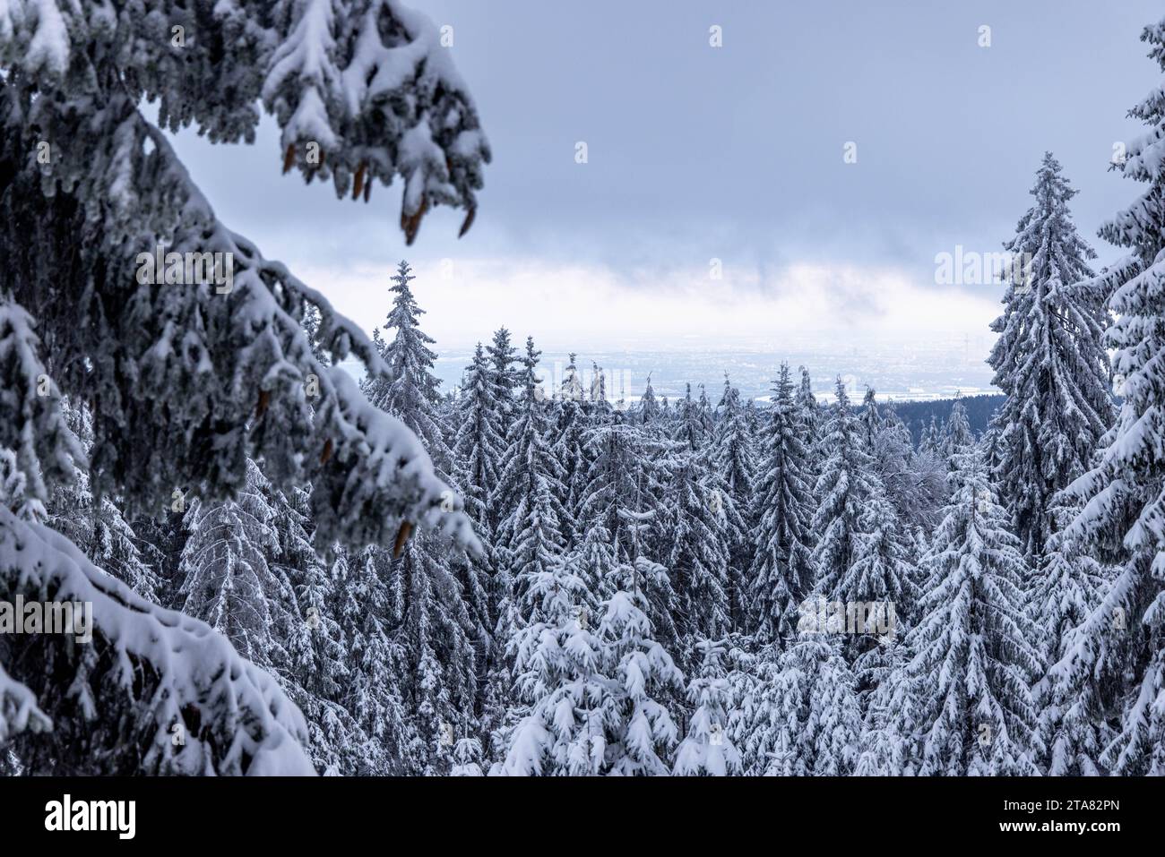 Grosser feldberg im taunus hi-res stock photography and images - Alamy