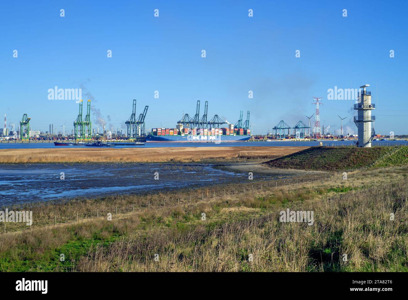 View over radar tower along salt marsh of the Western Scheldt estuary ...