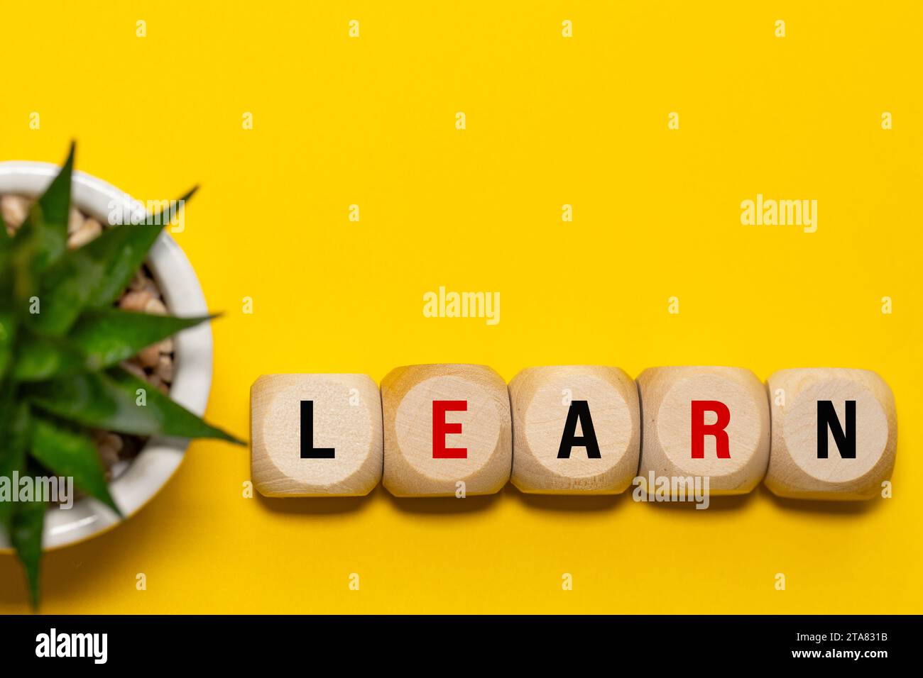 A symbol of learning and growing. Concept word, Learn, on wooden blocks ...