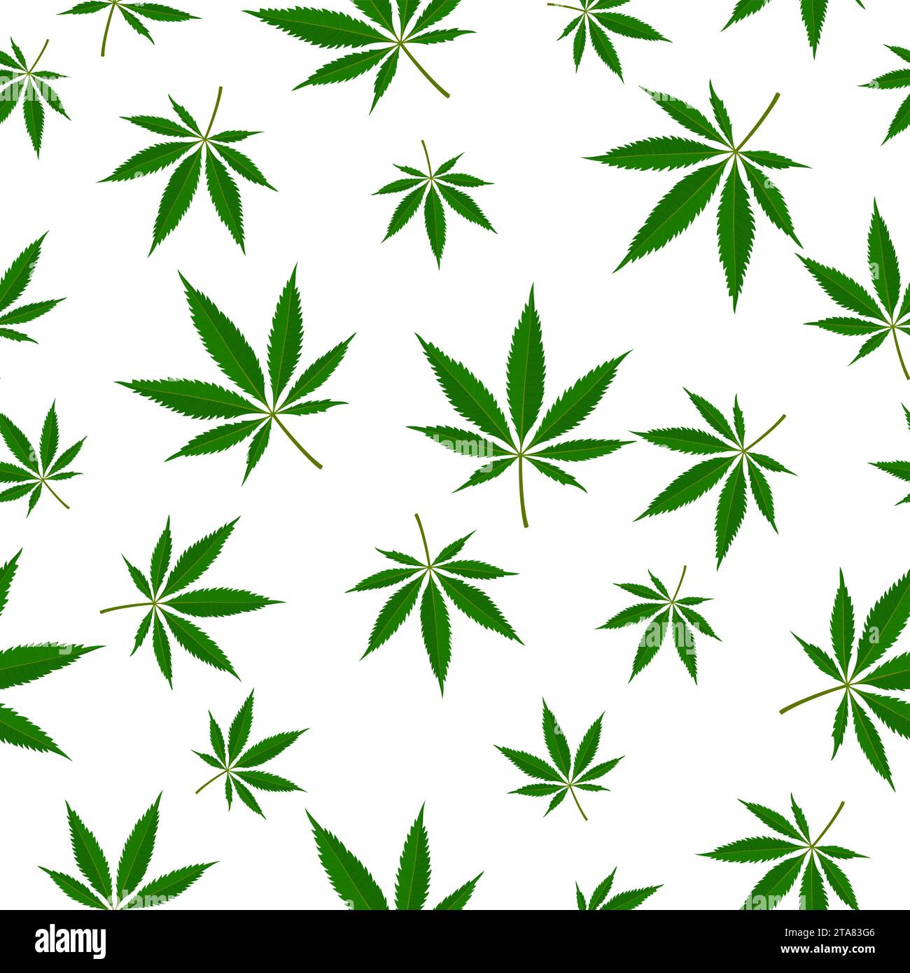 Marijuana leaf seamless pattern. Medical cannabis plant, Herbal indica sativa. Natural hemp ...