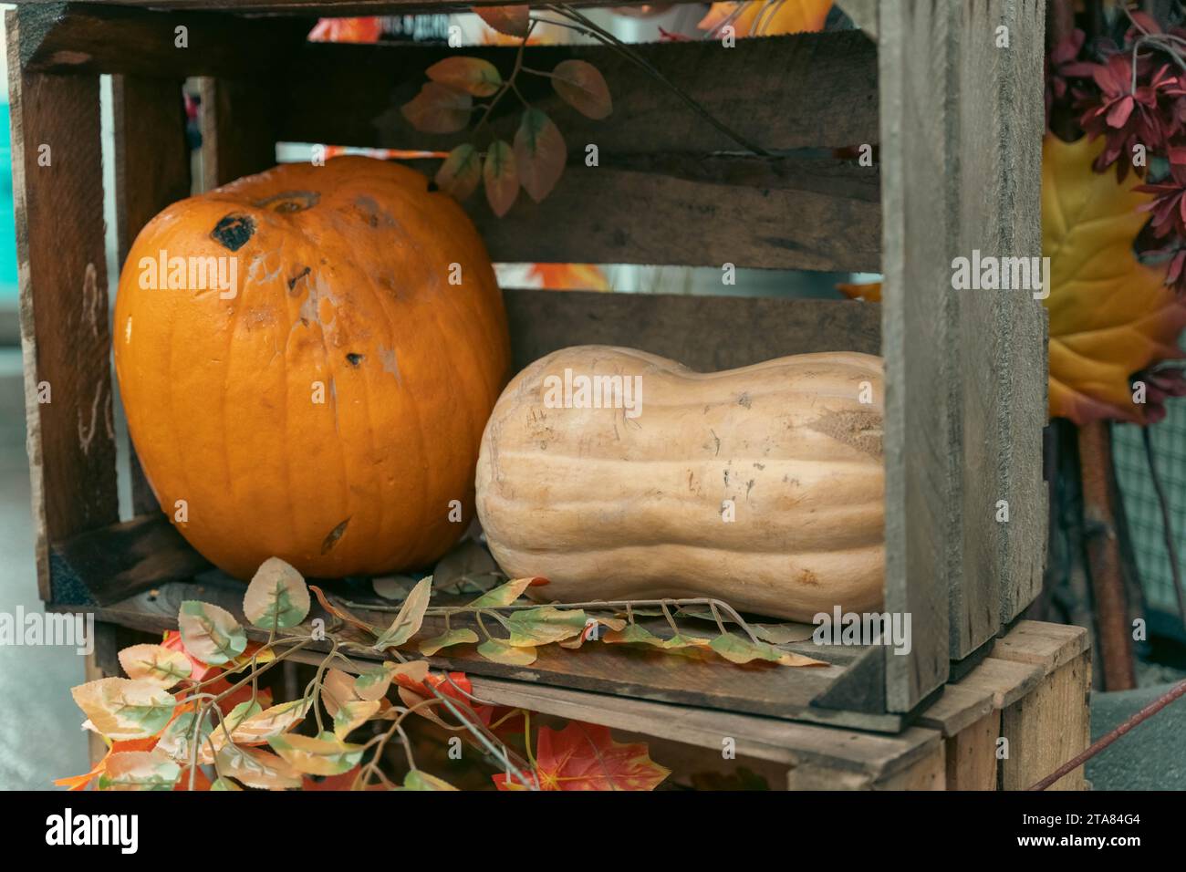 Still life display hi-res stock photography and images - Alamy