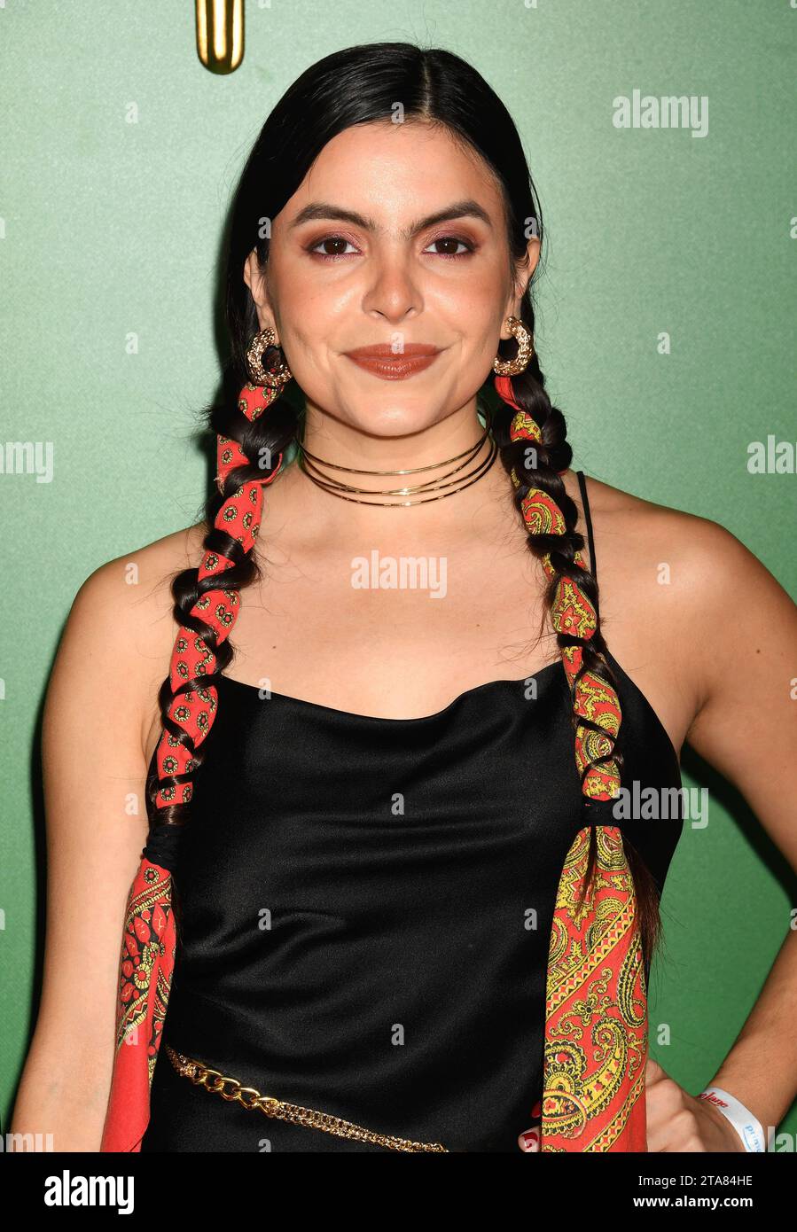 LOS ANGELES, CALIFORNIA - NOVEMBER 28: Idalia Valles attends the world ...