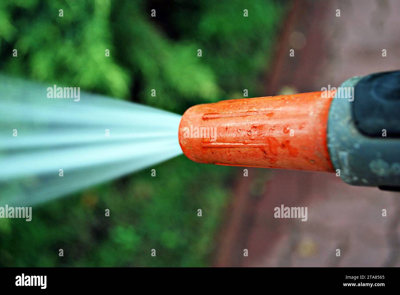 Water spraying from a garden hose Stock Photo - Alamy