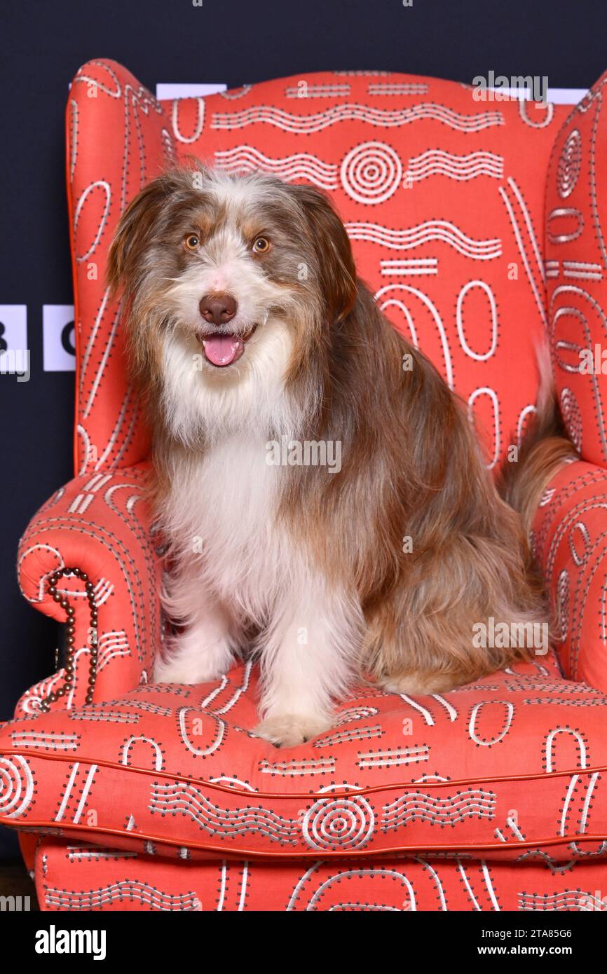 London, UK. 29 November 2023. Famous 5 cast member Kip, who plays Timmy ...