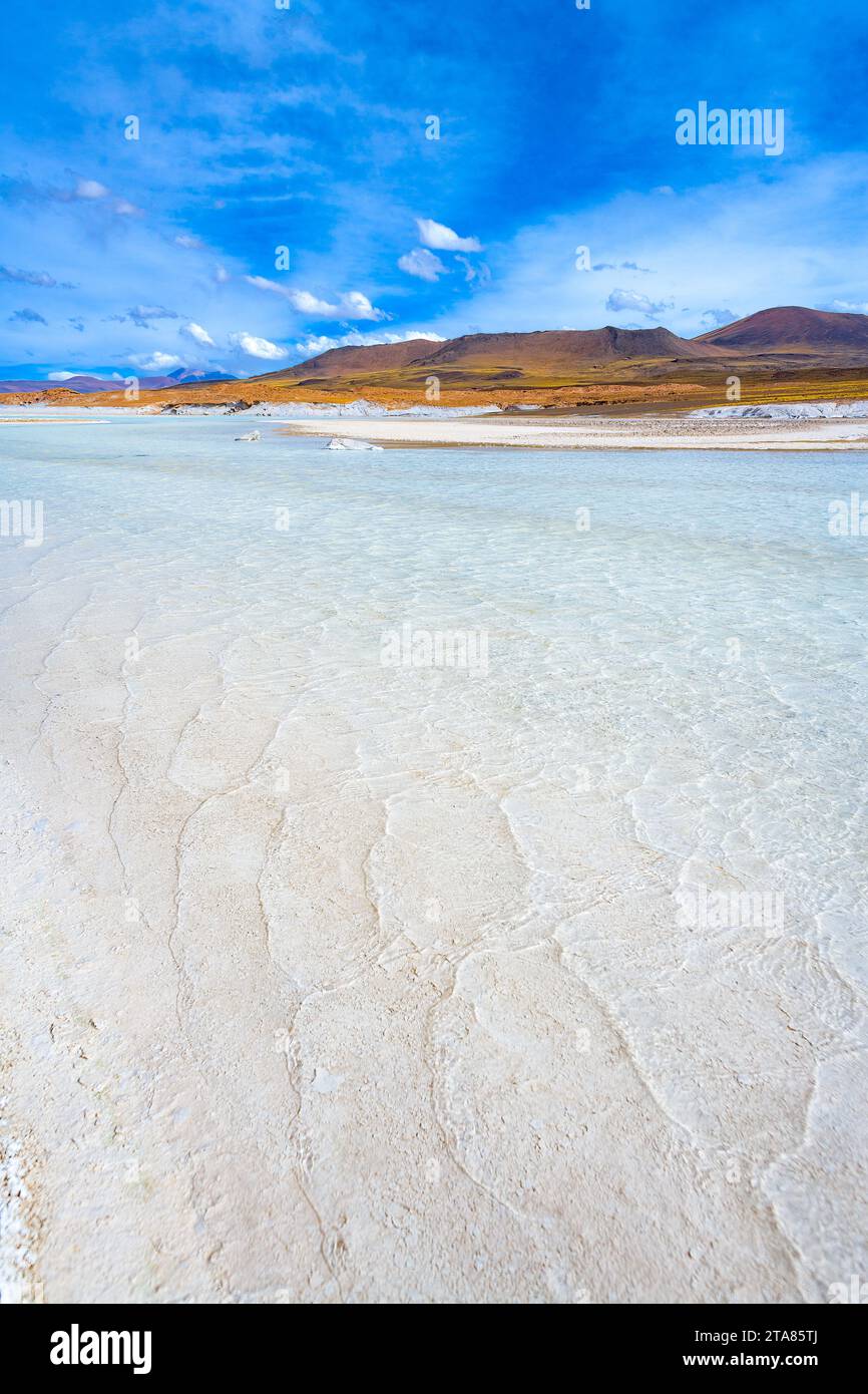Tuyajto lagoon and salt lake in the Altiplano (high Andean plateau ...