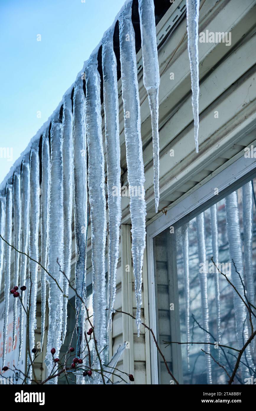 Huge icicles hang from the facades of buildings. The fall of icicles ...