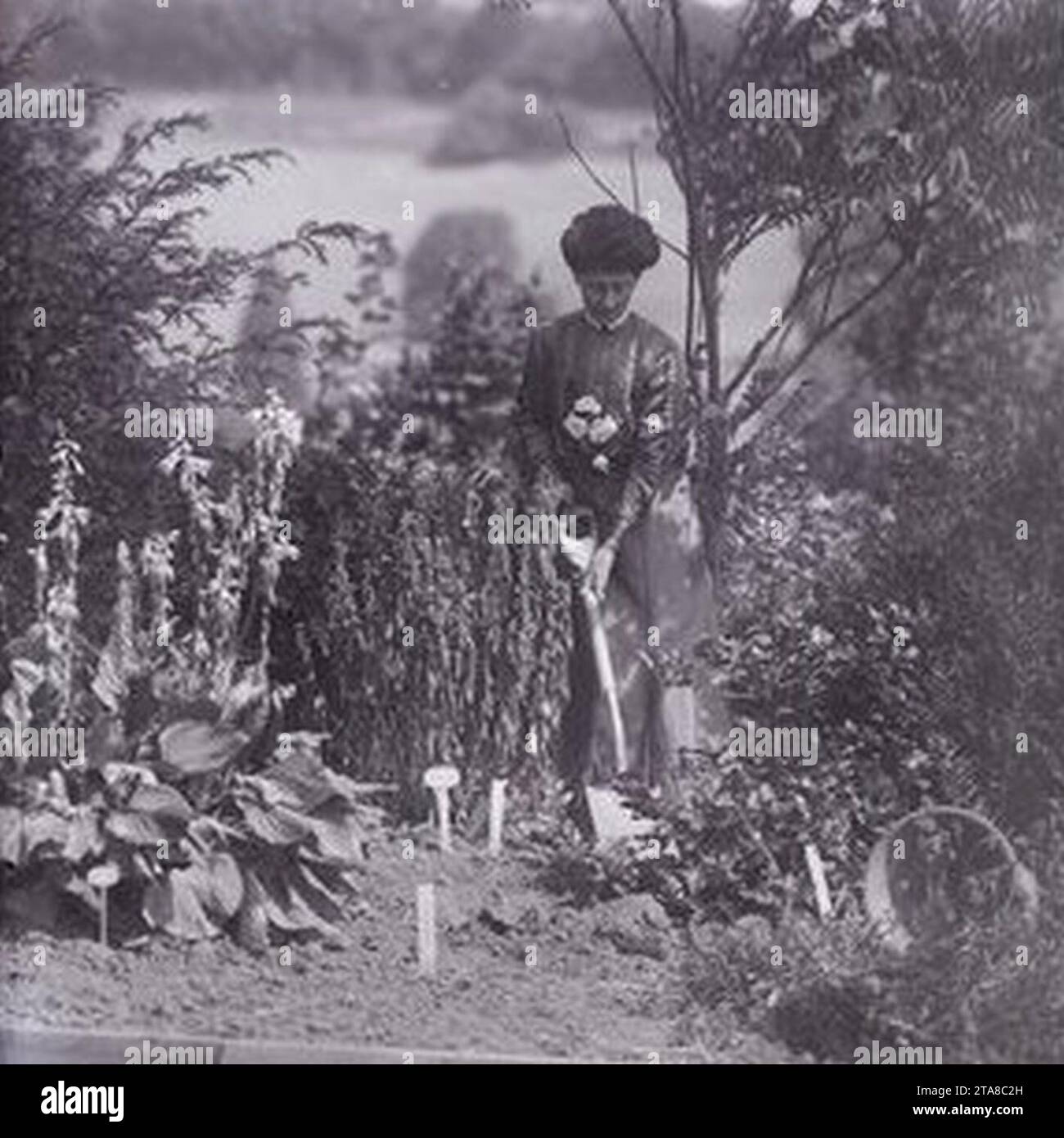 Vida goldstein hi-res stock photography and images - Alamy