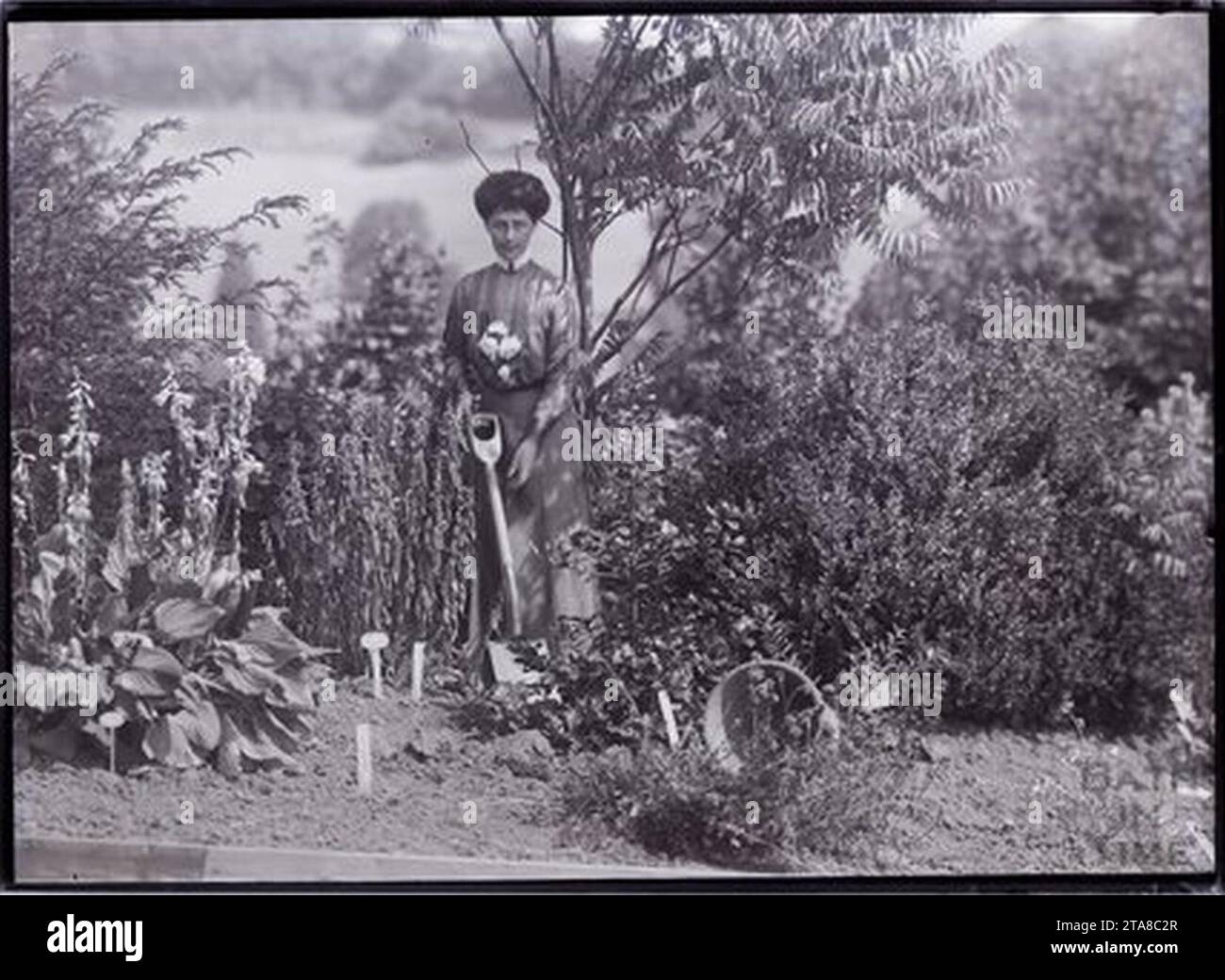 Vida goldstein hi-res stock photography and images - Alamy