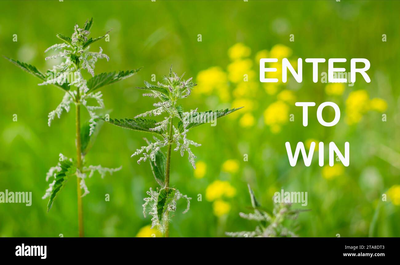 Enter to win, text written on a beautiful summer background Stock Photo ...