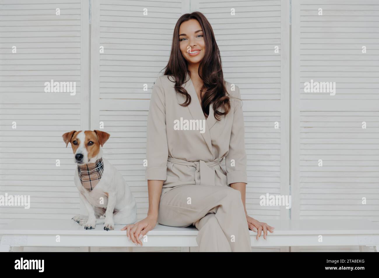 Stylish dog hi-res stock photography and images - Alamy
