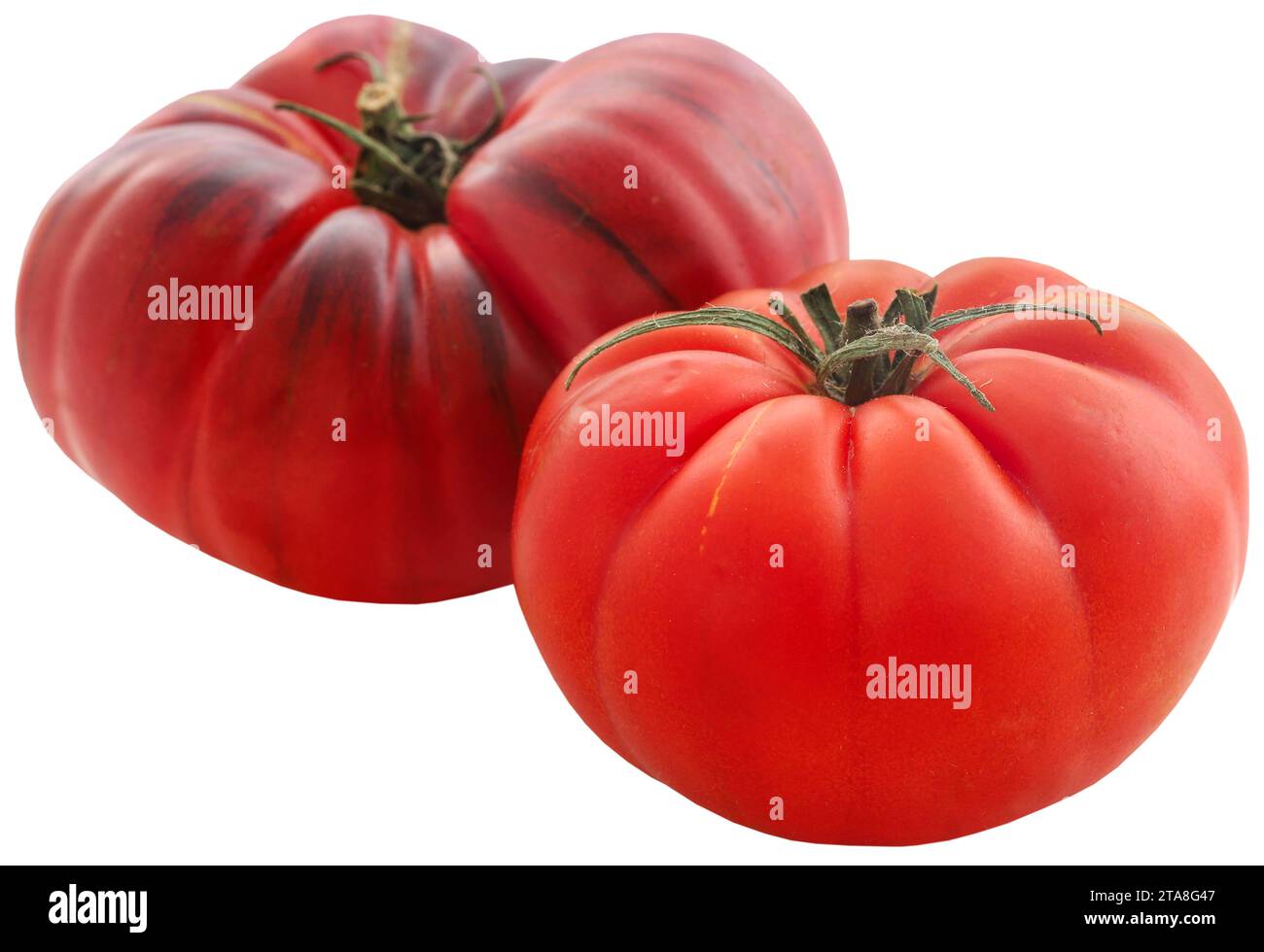 Tomato black russian hi-res stock photography and images - Alamy
