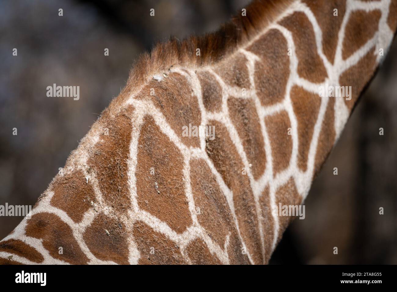 Exotic part of the earth hi-res stock photography and images - Alamy