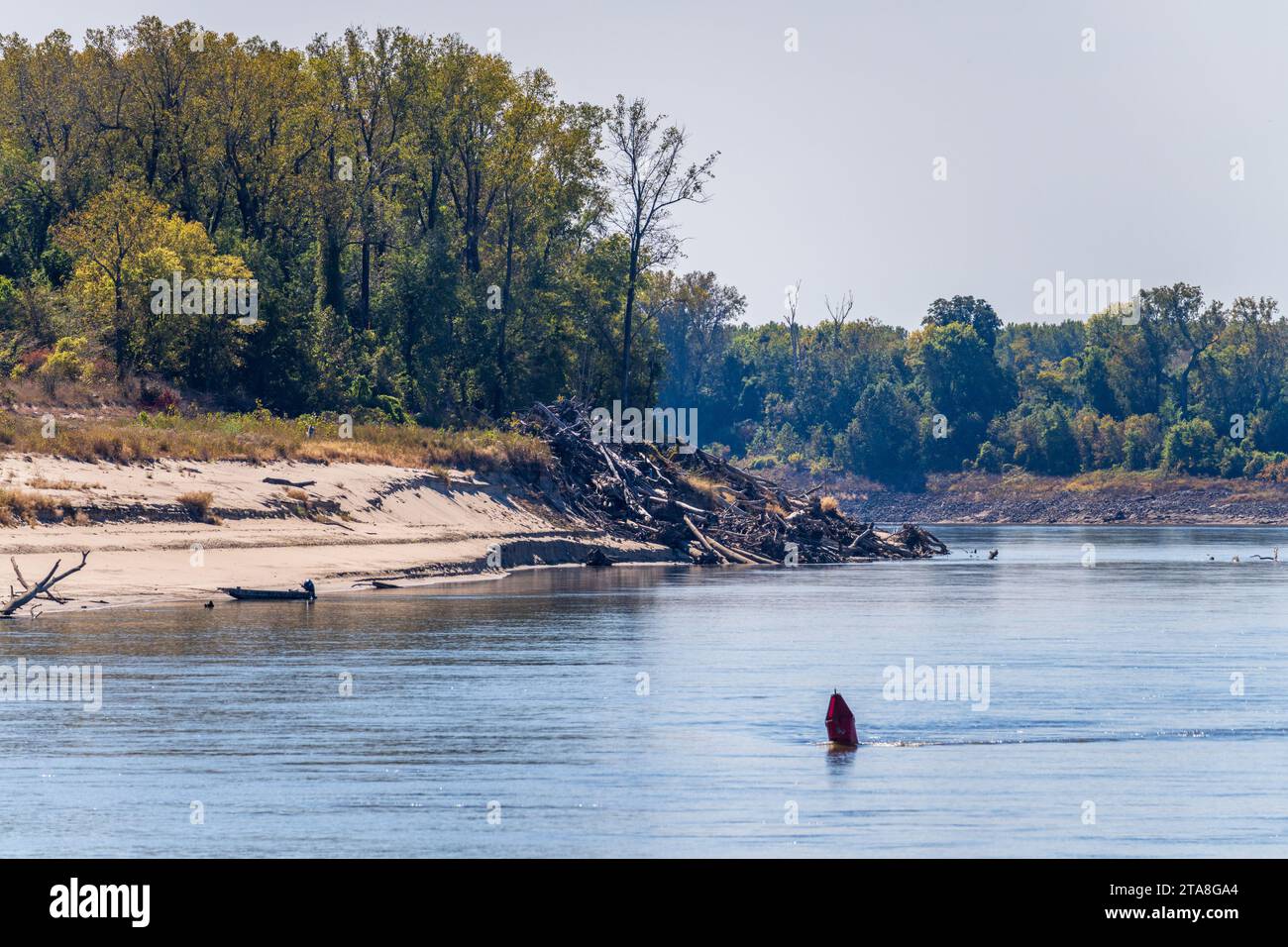 Low water levels in the lower Mississippi river expose sand bars and ...