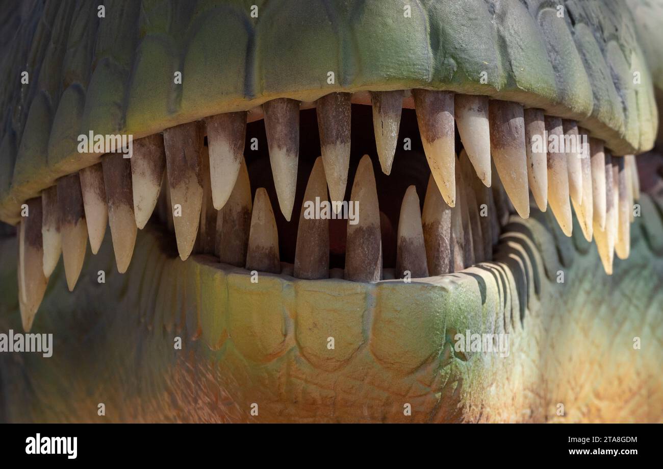 Jurassic jaws. The tyrannosaurus rex teeth close up. Pattern and ...