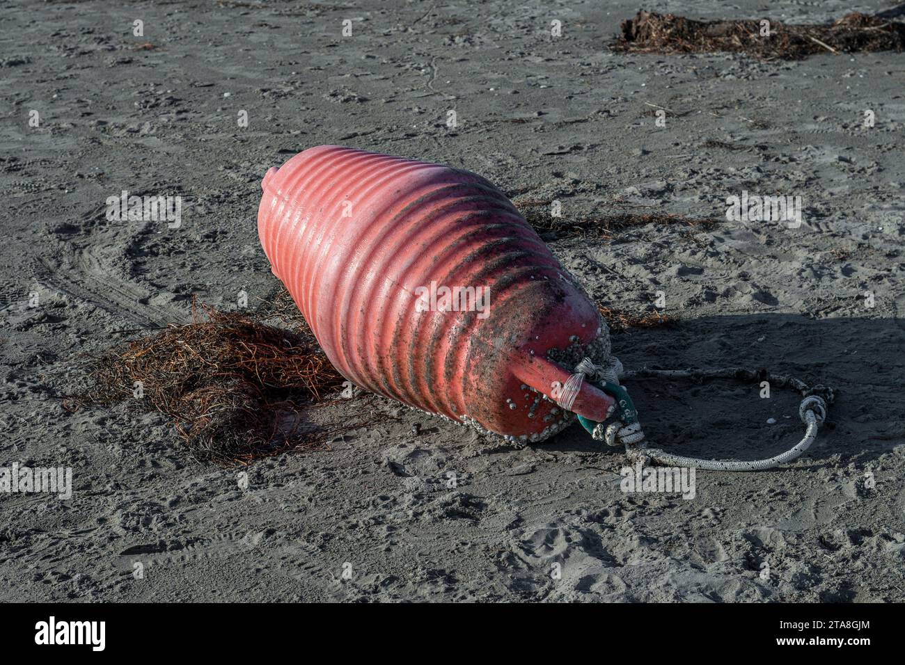 Red buoy stranded on the beach. Red buoy stranded after a violent storm ...