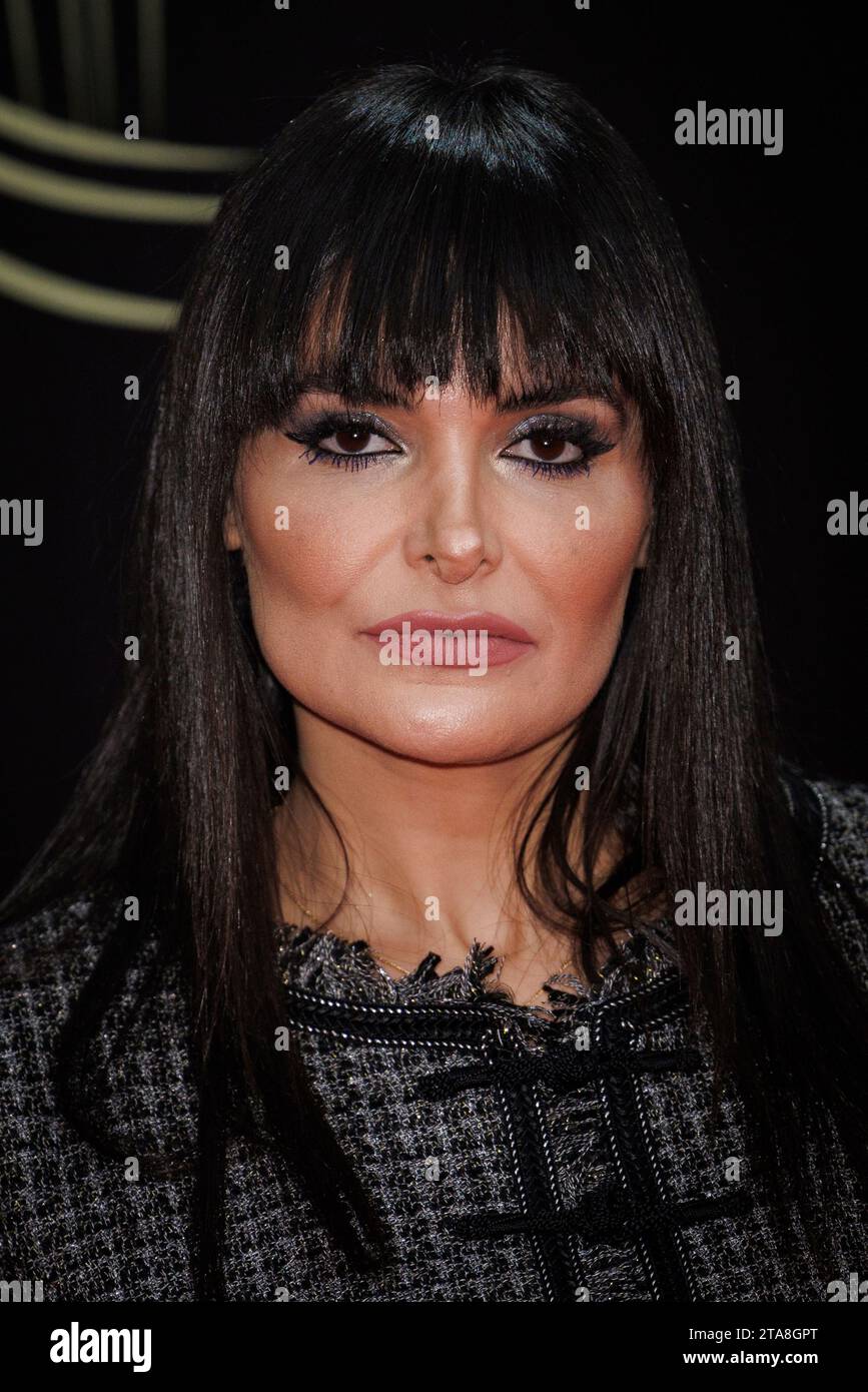 Sofia Samani attends the 20th Marrakech International Film Festival in ...