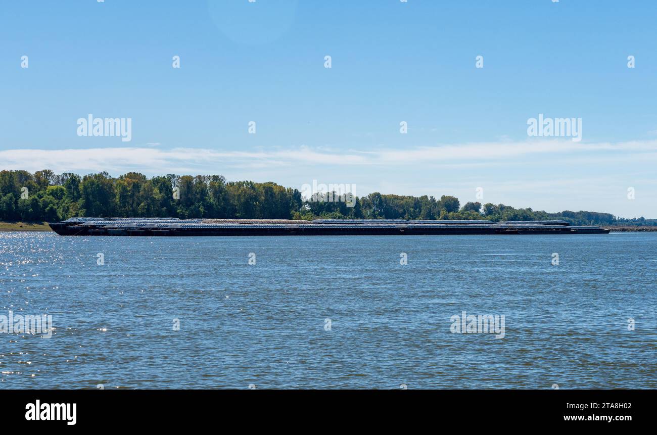 Large tug boat pushing rows of barges with grain products up the ...