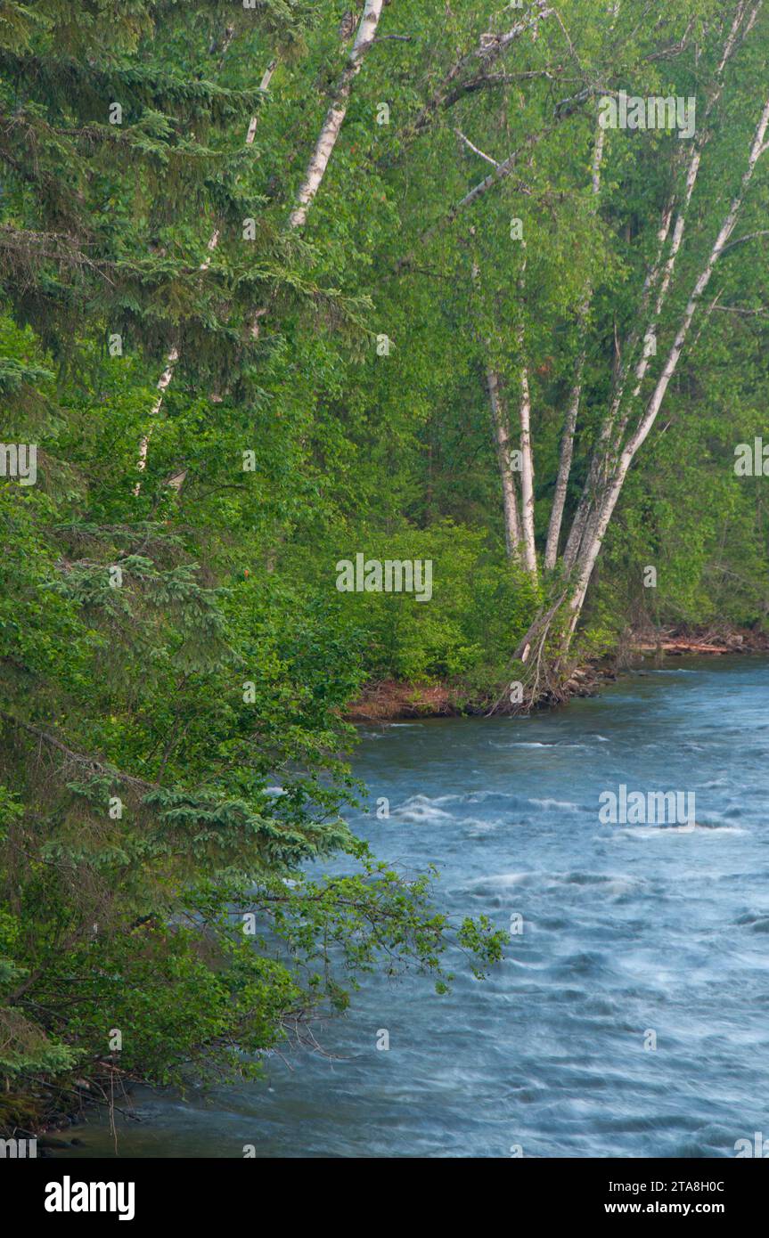 North Thompson River, Raft River Park, British Columbia, Canada Stock ...