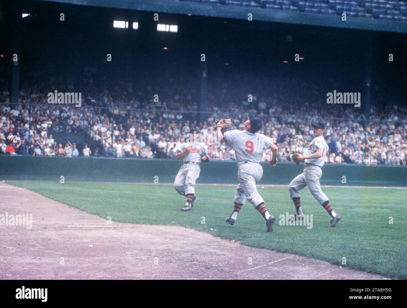 DETROIT, MI - JUNE 29: Third baseman Hal Smith #9, shortstop Jerry ...