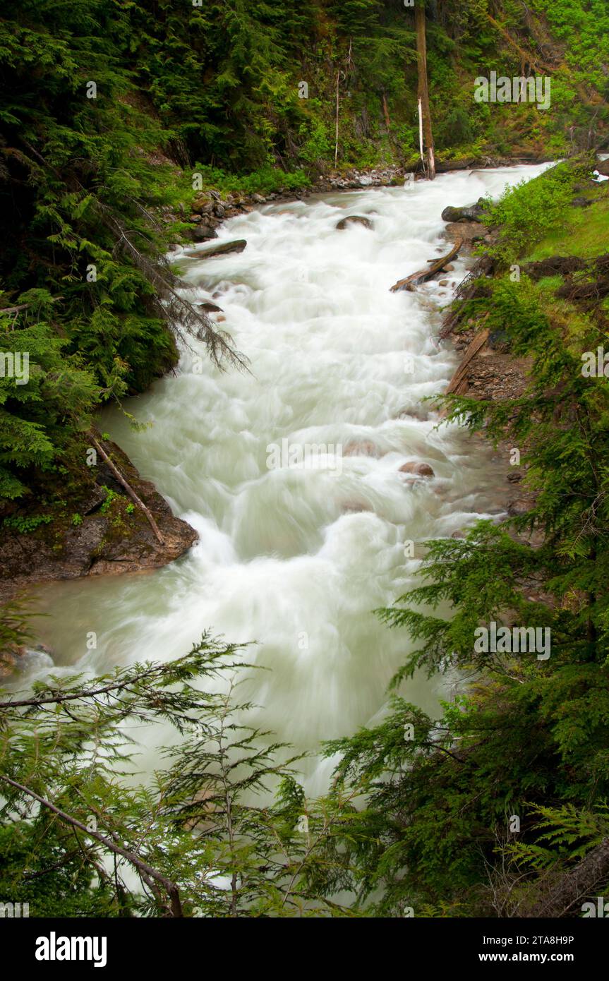 Connaught Creek along Bear Creek Falls Trail, Glacier National Park ...