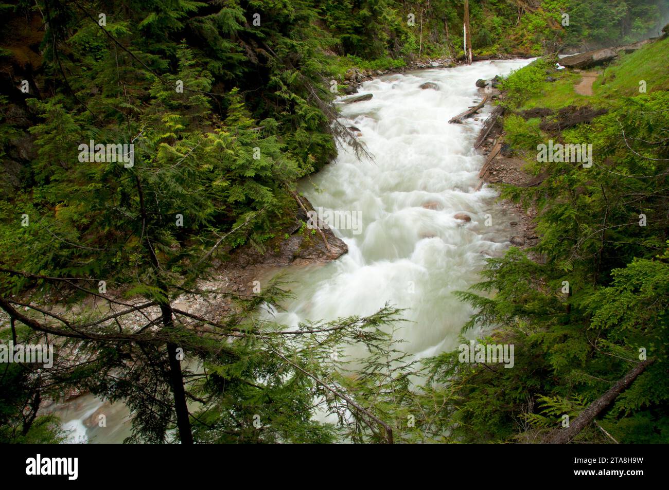 Connaught Creek along Bear Creek Falls Trail, Glacier National Park ...