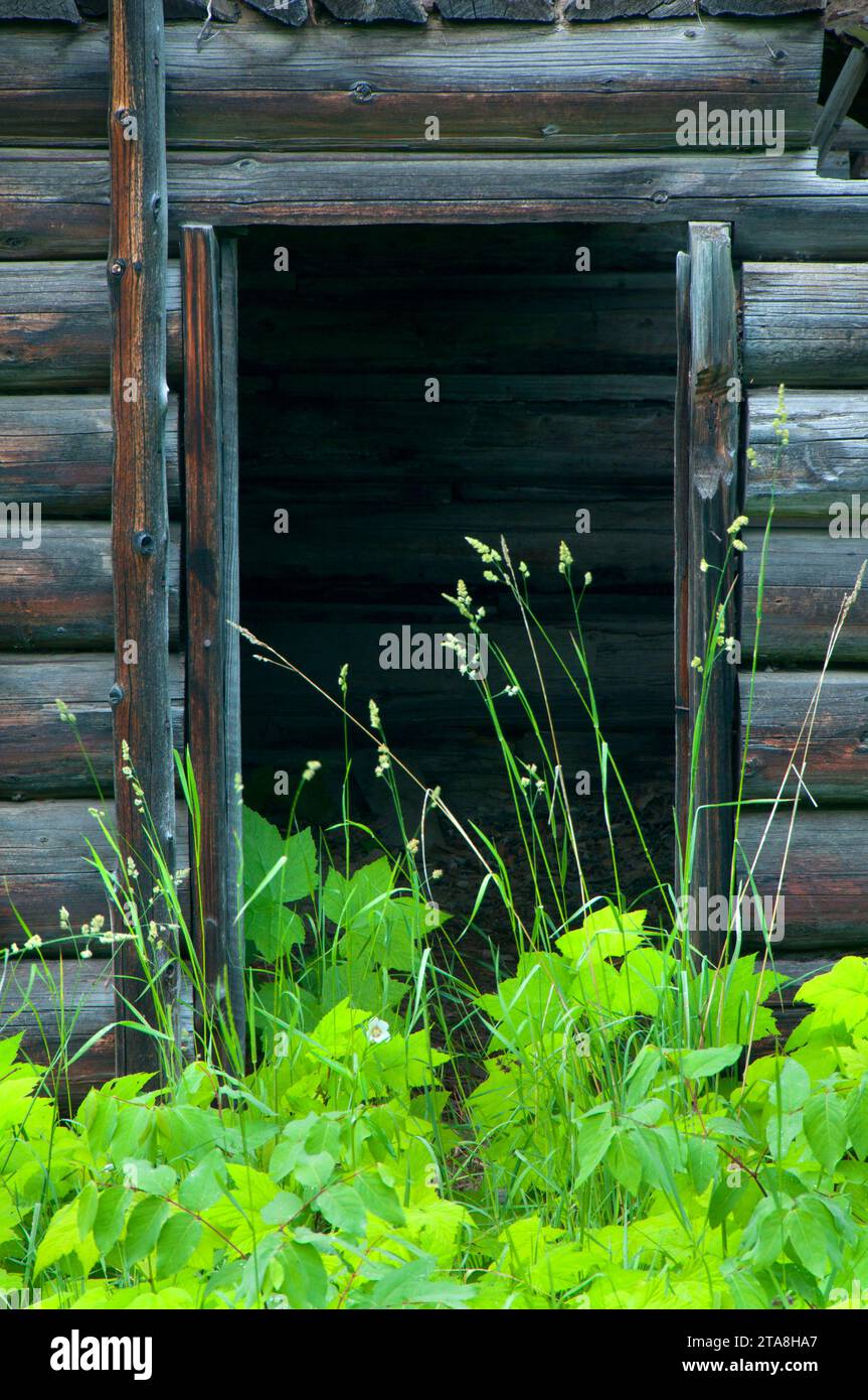 Log cabin doorway, Clearwater, British Columbia, Canada Stock Photo - Alamy