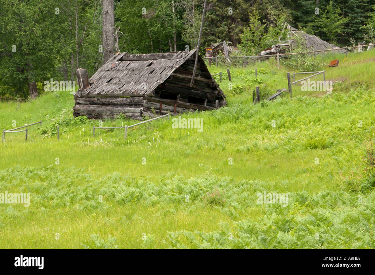 Ray Farm ruins, Wells Gray Provincial Park, British Columbia, Canada ...