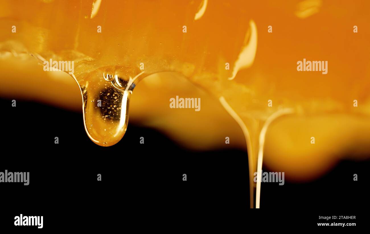 Honey dripping from honeycombs extreme macro.Natural bees wax cells ...