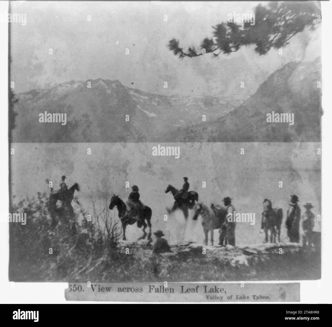 View across Fallen Leaf Lake, Valley of Lake Tahoe Stock Photo - Alamy