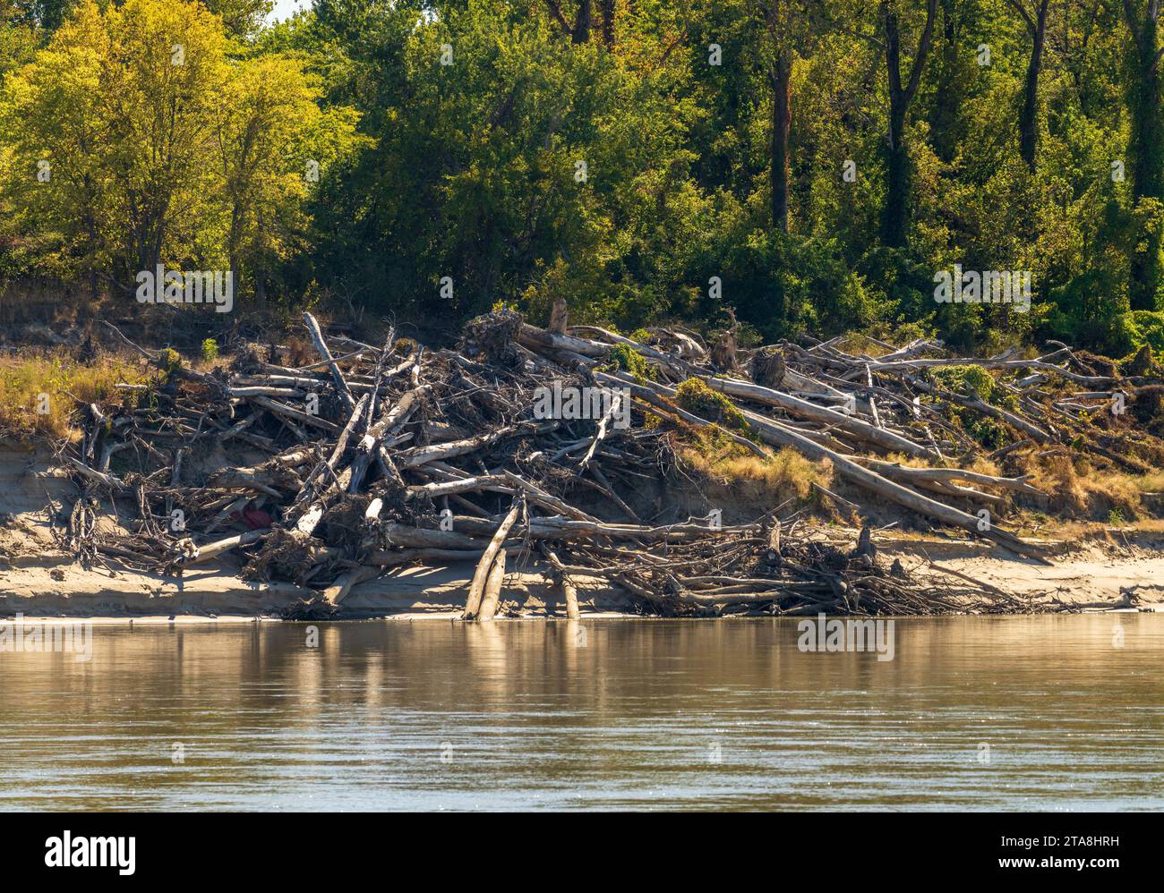 Low water levels in the lower Mississippi river expose sand bars and ...