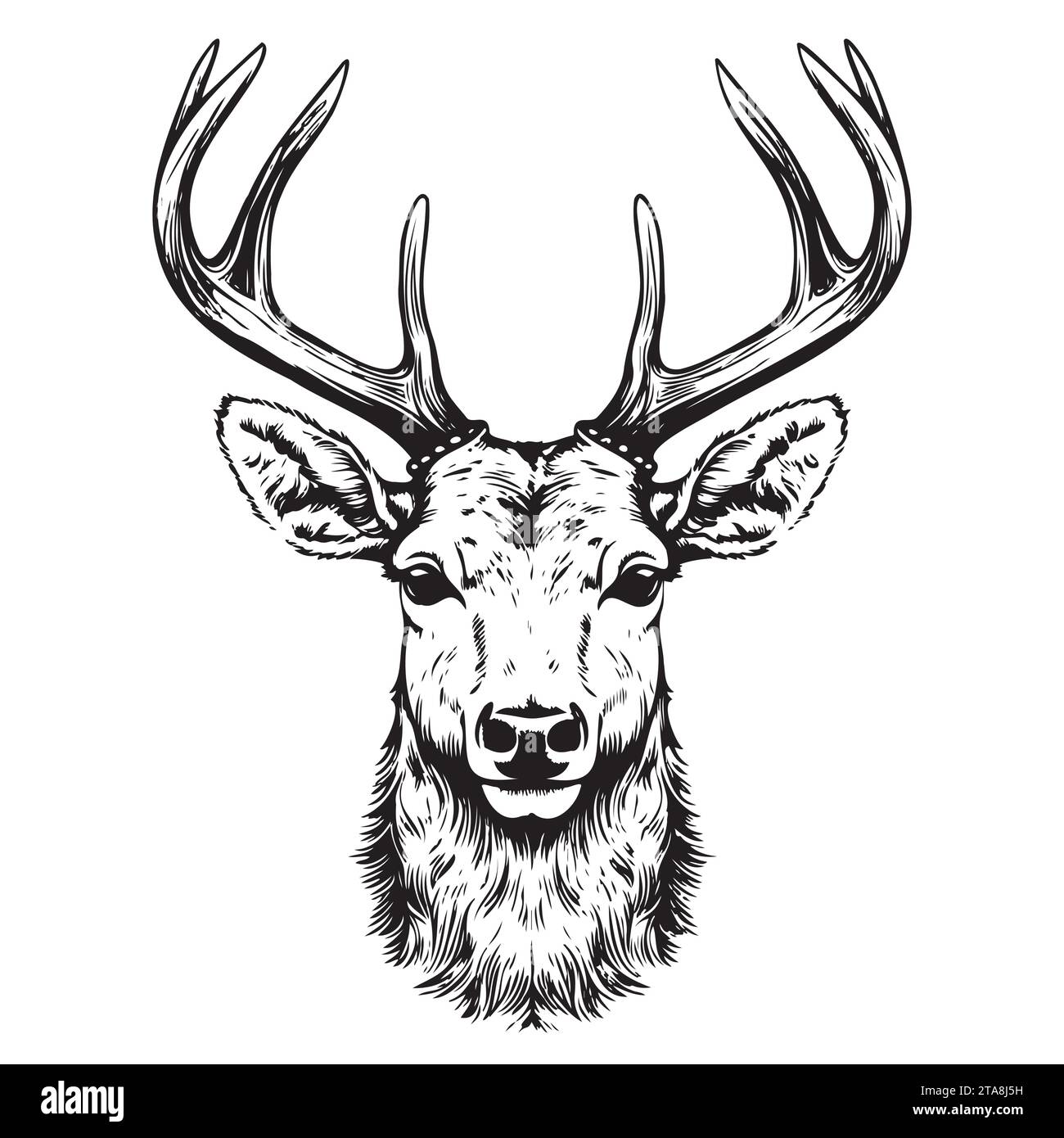 Stag Deer Head Sketch Vector Graphics Monochrome Black And White Drawing Vector Stock Vector