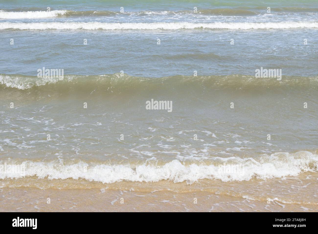 non edited photo of peaceful water horizon and sand composition. useful ...