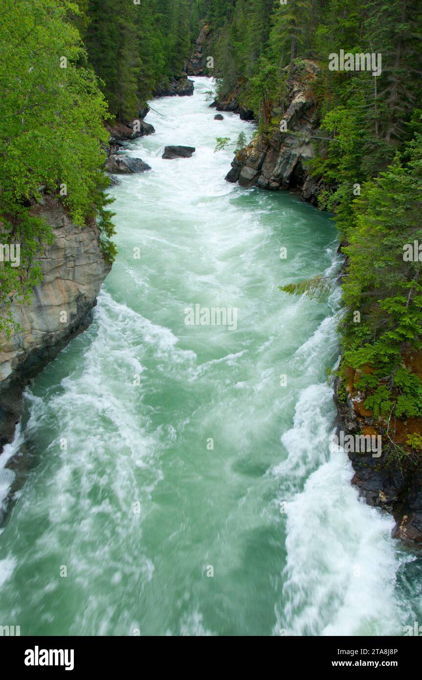 Fraser River, Mt Robson Provincial Park, British Columbia, Canada Stock ...