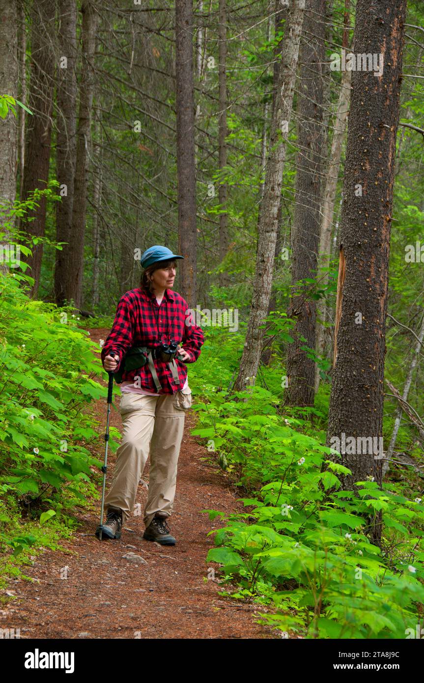 Overlander Falls Trail, Mt Robson Provincial Park, British Columbia ...