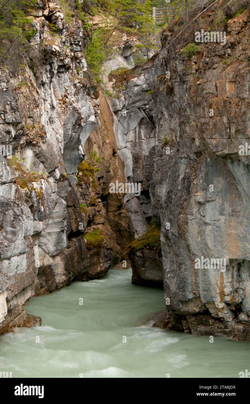 Marble Canyon, Kootenay National Park, British Columbia, Canada Stock ...