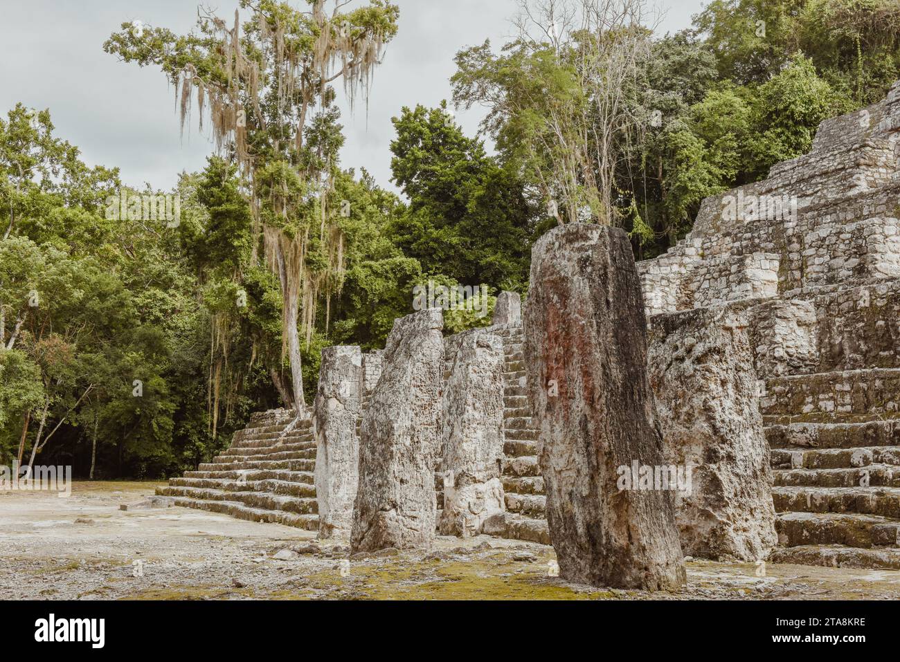 Maya archaeological site of Calakmul in the Calakmul Biosphere Reserve ...