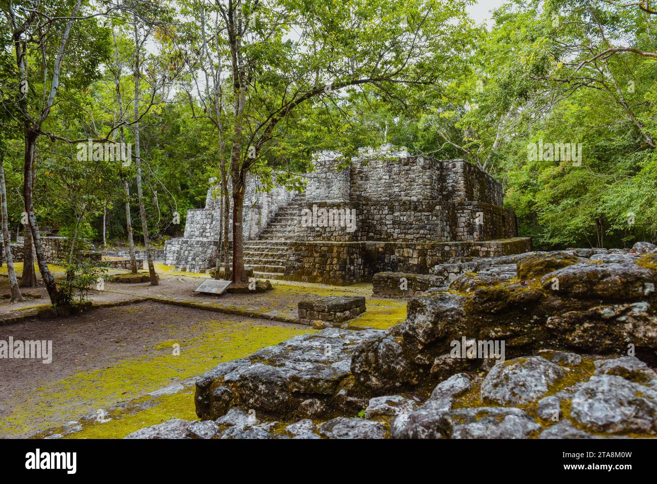 Maya archaeological site of Calakmul in the Calakmul Biosphere Reserve ...