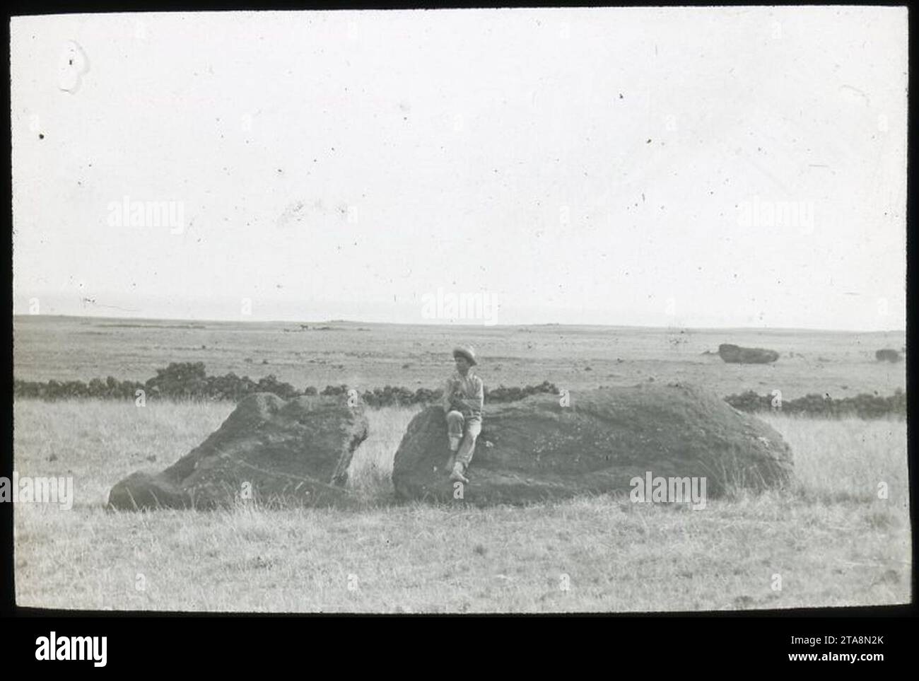 View of a moai lying on the ground; a man is standing on the left of ...