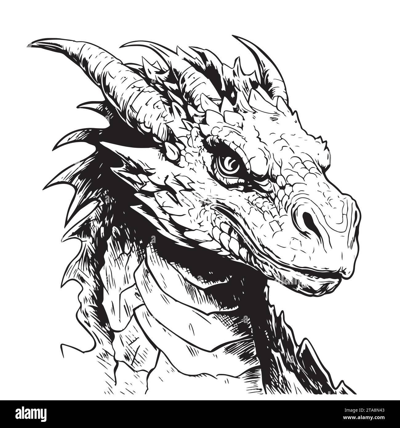 Hand drawn chineese dragon isolated on white background. Vector ...