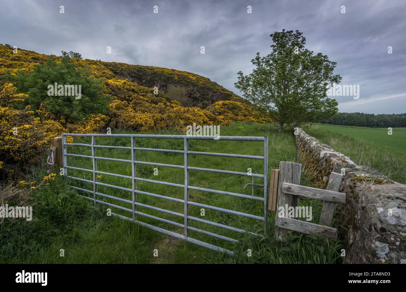 Landscape in the scottish borders near the viewpoint scotts view Stock ...