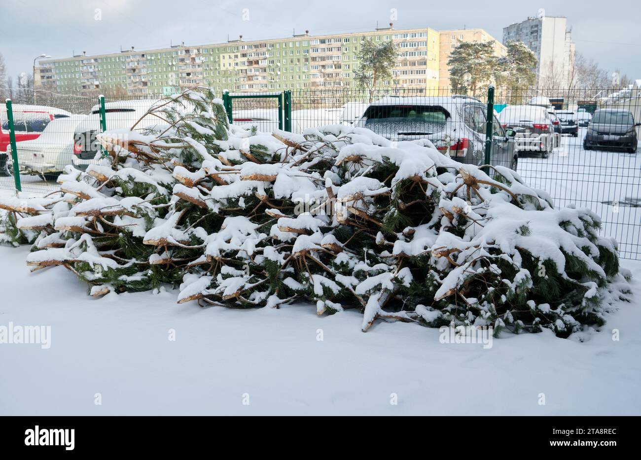 Unwanted christmas trees hi-res stock photography and images - Alamy