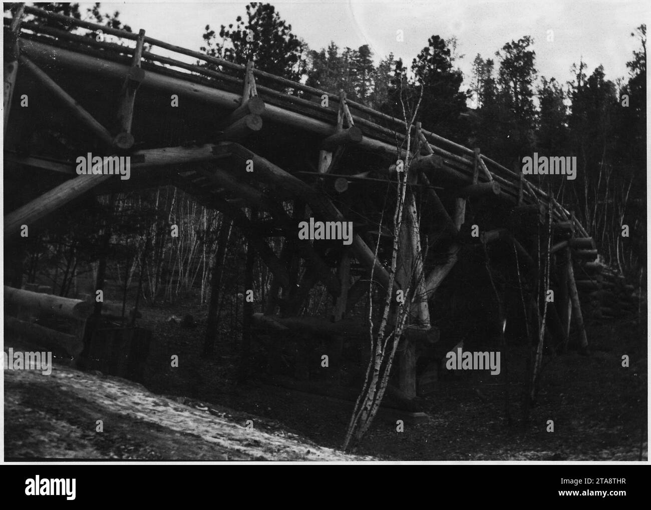 Log view Black and White Stock Photos & Images - Alamy