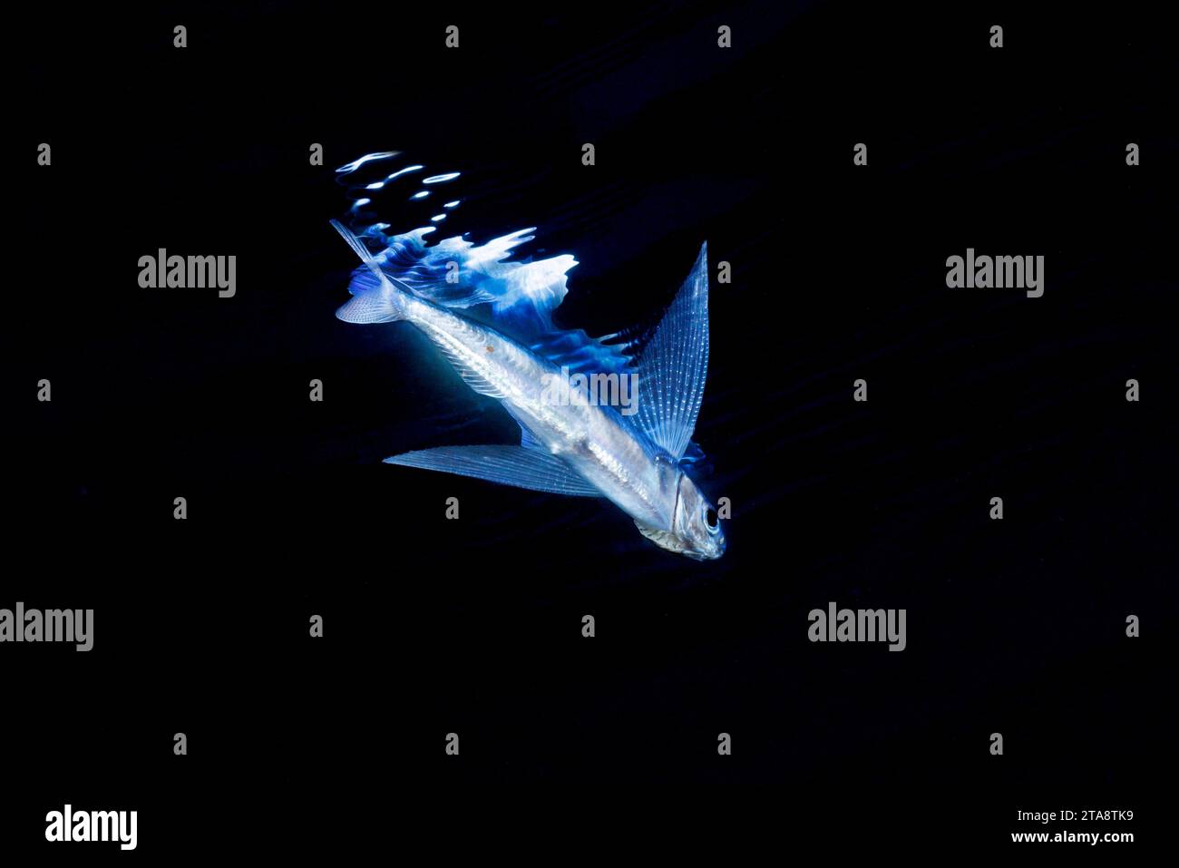 5000 feet below hi-res stock photography and images - Alamy