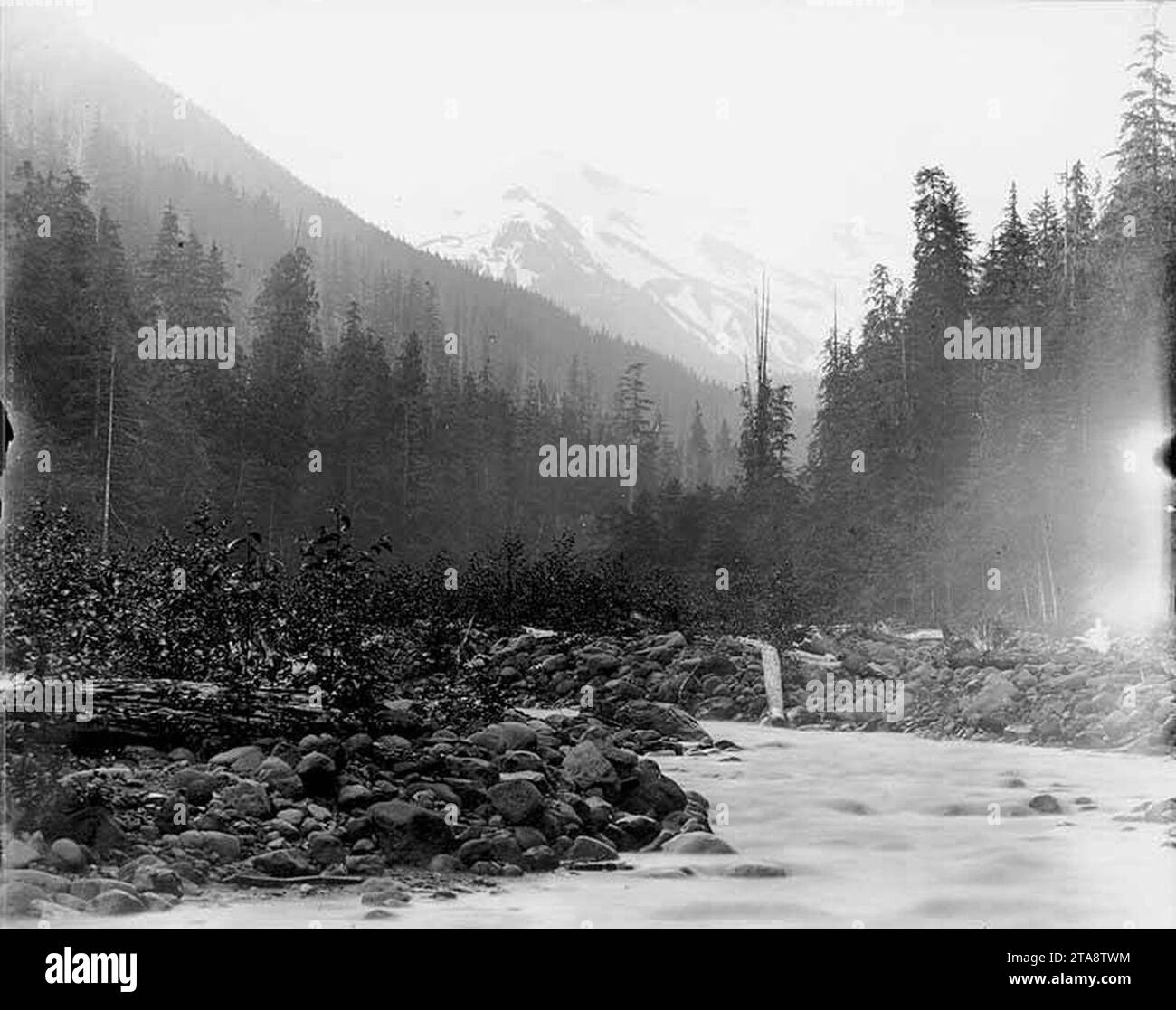 View of Mount Baker from Little Beaver Creek, August 9, 1894 (WAITE 23 ...