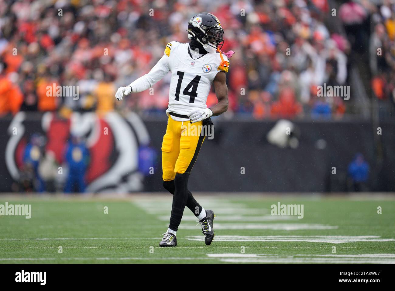 Pittsburgh Steelers wide receiver George Pickens (14) plays during an ...
