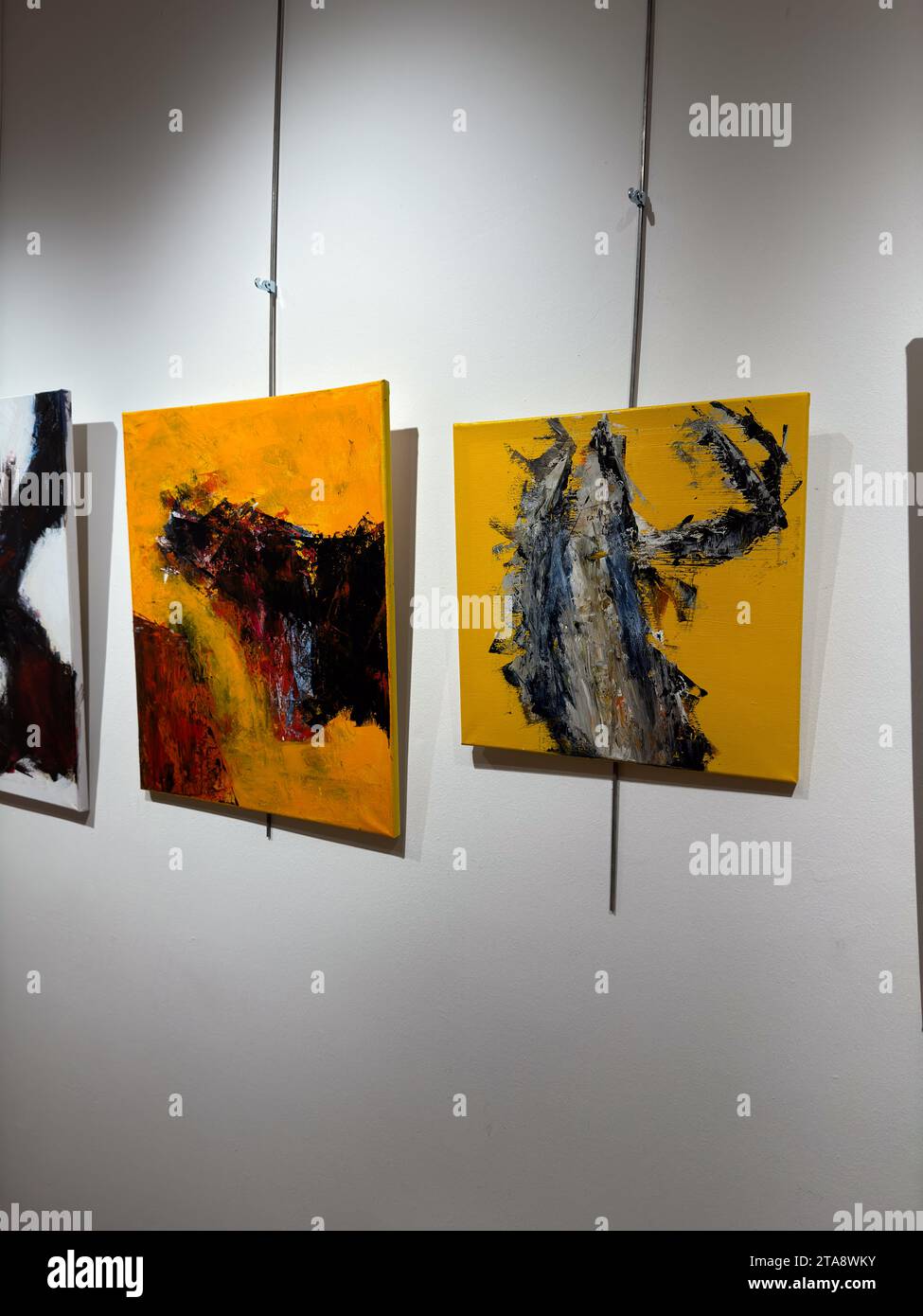 Formas, art exhibition by painter Pablo Montesinos in Centro Civico ...